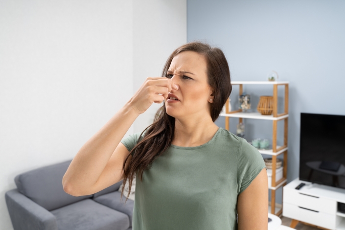 Masking Household Odors Vs. Eliminating Odors: What’s the Difference ...